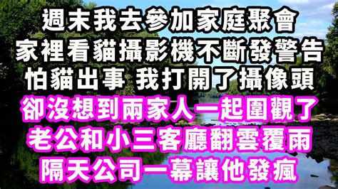 週末我去參加家庭聚會家裡看貓攝影機不斷發警告怕貓出事我打開了攝像頭卻沒想到兩家人一起圍觀了老公和小三客廳翻雲覆雨隔天公司一幕讓他發瘋