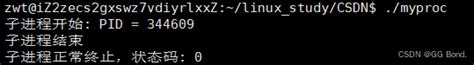 【linux探索学习】第十七弹——进程终止：深入解析操作系统中的进程终止机制进程 终止 Csdn博客