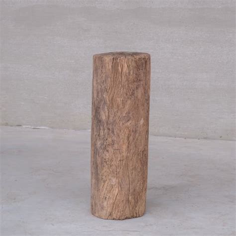 Wooden Tree Trunk Display Stand For Sale At Pamono Wooden Tree Trunk Display Stand For Sale At Pamono