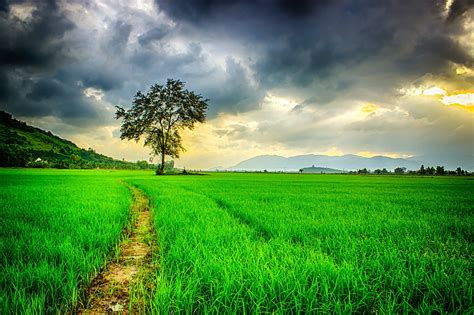 Tổng hợp 500 Background image nature tuyệt đẹp tải miễn phí