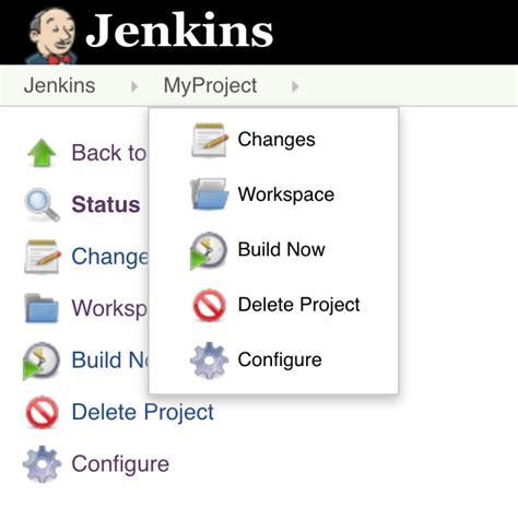 Configure And Run Jenkins