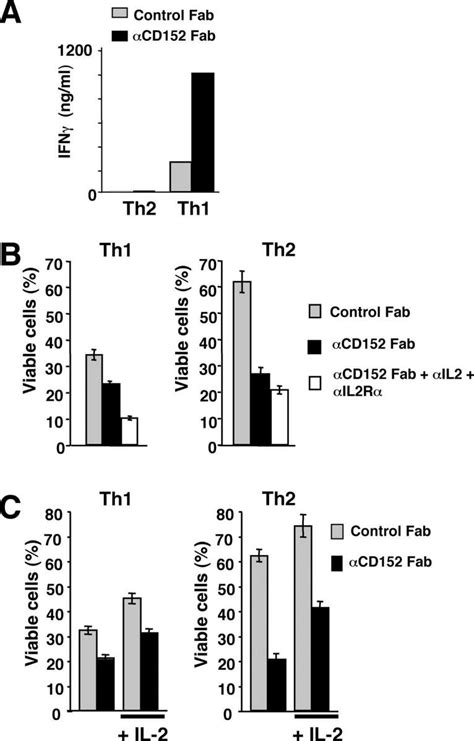 Cd152 Blockade Enhances Aicd In Both T Cell Subsets Independently Of