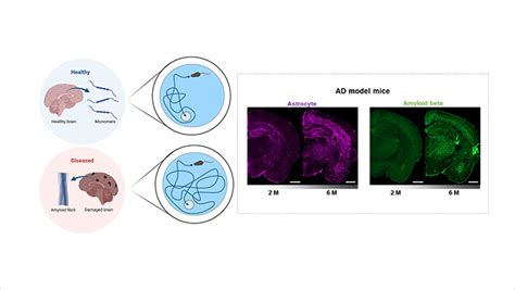 연세대 Cheong Lab