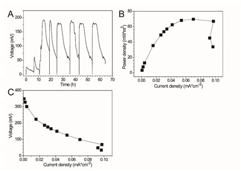 The Output Voltage A Power Density B And Polarization Curves C