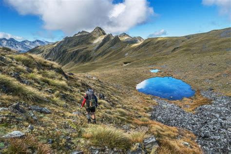 Topo Twisting On The Ella Range Wilderlife