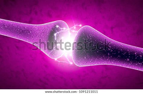 Synapse Structure That Permits Neuron Nerve Stock Illustration