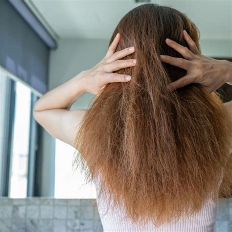 Confira 5 Formas De Recuperar Seu Cabelo Ressecado Purebreak