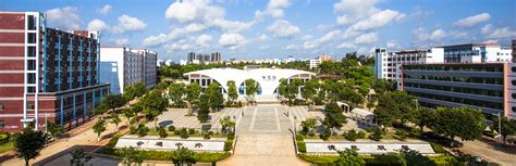 聚势赋能 共推教育国际化——我校与清华附中文昌学校启动国际化赋能外语特色教学合作项目 海南外国语职业学院