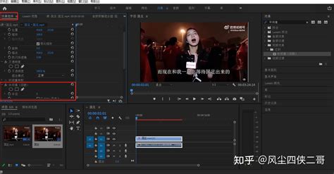 用pr 如何去掉视频的水印 知乎