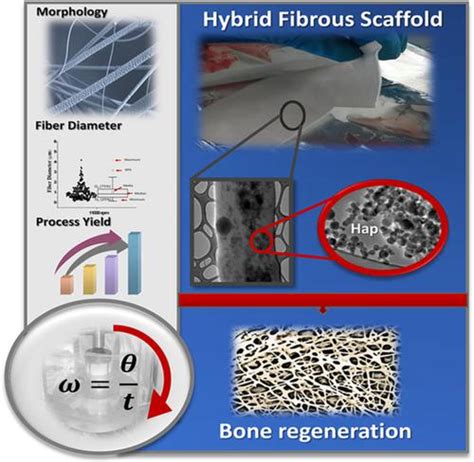 基于生物聚酯 羟基磷灰石的离心纺垫及其作为骨支架的潜力 Journal Of Applied Polymer Science X Mol