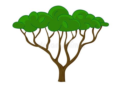 在白色查出的结构树向量 向量例证 插画 包括有 学术 例证 大草原 庭院 关心 形状 春天 27134854