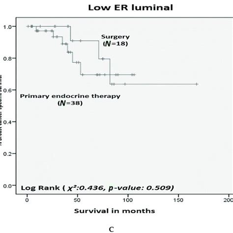 Older Women With Oestrogen Receptor Positive Primary Breast Cancer