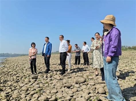 市中院党组副书记常务副院长郑静春率队到牛佛法庭调研指导纽扣法庭工作 澎湃号政务 澎湃新闻 The Paper