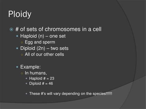 Ppt Mitosis And Meiosis Powerpoint Presentation Free Download Id440531