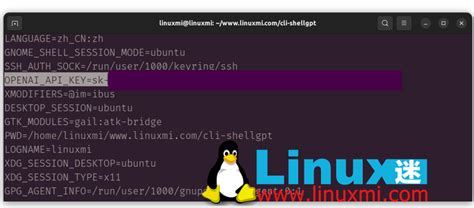 ShellGPT 在 Ubuntu Linux 终端中安裝和使用 ChatGPT 良许Linux教程网