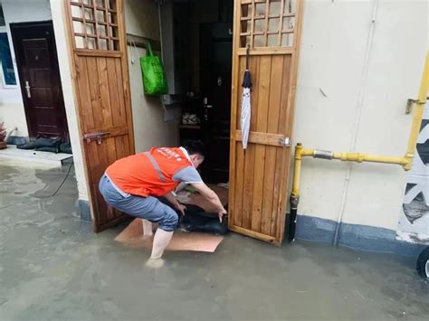 风雨无情，人间有爱！一起来看暴雨天的暖心事→澎湃号·政务澎湃新闻 The Paper