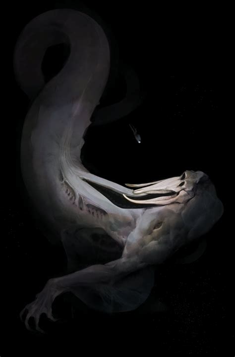 구더기 Corpse Loving Twitter