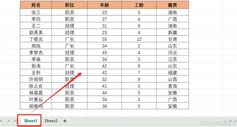 excel对单列 多列数据筛选和高级筛选 excel多列筛选 csdn博客