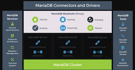 MariaDB Precios Funciones Y Opiniones