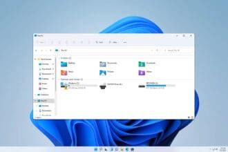 What Is The Root Directory How To Find It