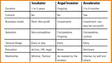 Startup Incubator Vs Accelerator What Is Better