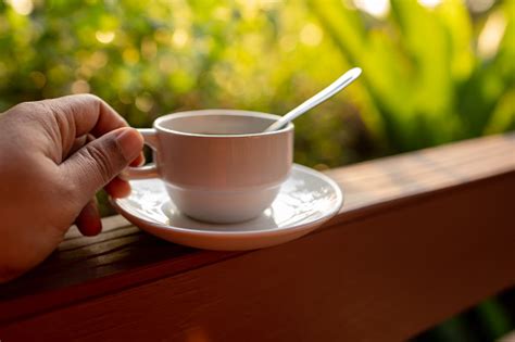 아침에 녹색 자연 보케 배경에 커피 컵을 들고 손 신선한 라이프 스타일을위한 카페인 음료 햇볕이 잘 드는 벽지의 빛에 컵과 증기 물을 닫고 그래픽 아이디어를위한 아름다운