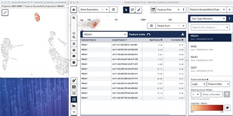 Exploring Feature Linkages With Loupe Browser 10x Genomics