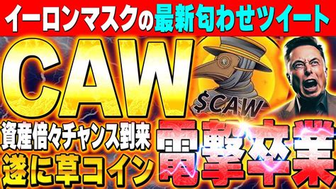 【caw】爆上げ秒読み開始か⁉️そして遂に草コインを卒業⁉️イーロンマスクがまた匂わせツイート ️徹底解説します。【仮想通貨】【ビットコイン