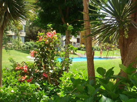 Arriendo Marzo Diciembre Reñaca 2026