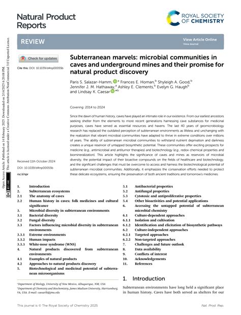 Pdf Subterranean Marvels Microbial Communities In Caves And