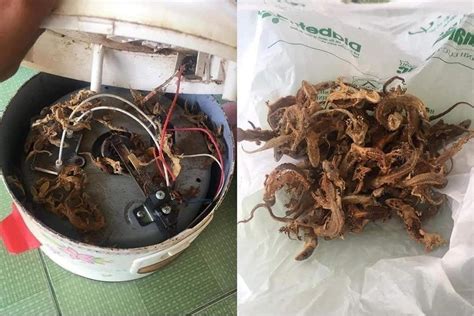 คำคม เฉียบเฉียบ ผมก็แอบสงสัยว่า ตลอดระยะเวลา 1 Facebook