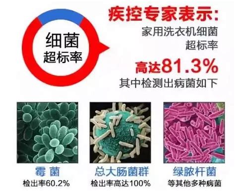 央视表明：家用洗衣机竟然比马桶还脏？ 知乎