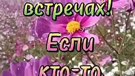 Где живёт счастье!?