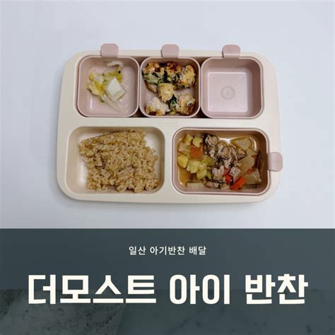 일산 아기 반찬 배달 추천 더 모스트 아이 반찬 네이버 블로그