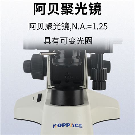 Koppace 40x 1600x三目生物显微镜 平场消色差物镜 复合实验室显微镜