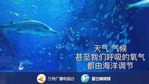 3·23世界气象日 海洋是生命的摇篮科学科普好看视频
