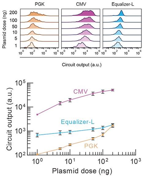 Developing A Synthetic Circuit To Control Gene Dosage Variation Matlab And Simulink