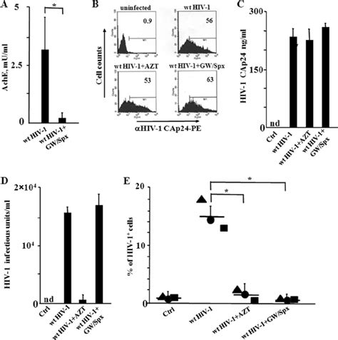 Hiv 1 Replicates In Quiescent Cd4 ϩ T Lymphocytes Cocultured In