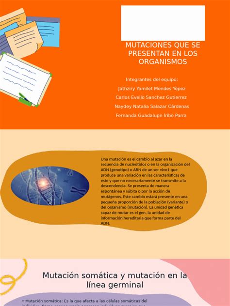 Mutaciones Pdf Mutación Gene