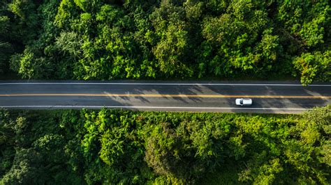 숲에서의 모험 아침 도로 여행 녹색 숲을 통해 아스팔트 도로에서 전기 자동차 운전 0명에 대한 스톡 사진 및 기타 이미지 0명 강철 개발 Istock