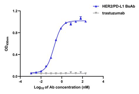 dual target bridging elisa for bispecific antibodies —bio protocol