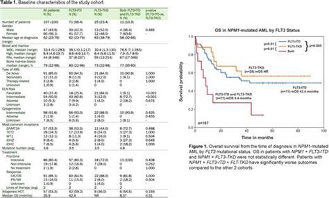 The Prognostic Impact Of Flt3 In Npm1 Mutated Aml Co Occurrence Of Flt3 Itd And Flt3 Tkd