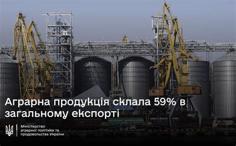 Минулоріч Україна експортувала 78 3 млн тонн аграрної продукції Решетилівщина Ua