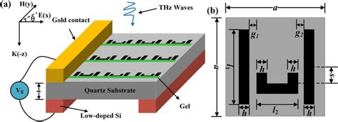 A Schematic Diagram B Top View Of The Proposed Graphene Microstructure