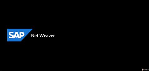 什么是 Sap Netweaver Hashdork