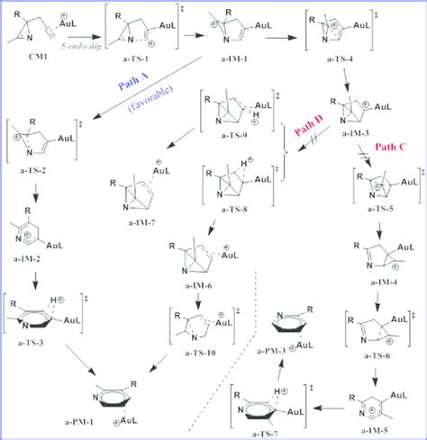 Detailed Reaction Processes For Three Possible Pathways Paths A C