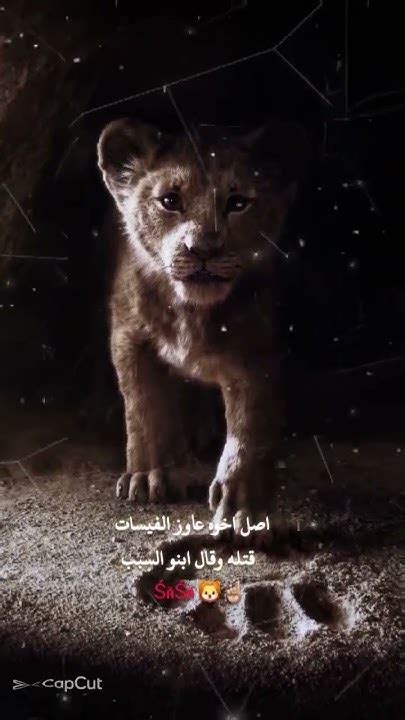 الاسد 🐯 Youtube