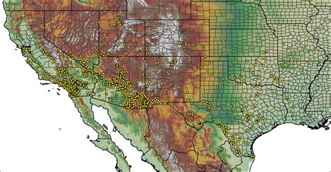 Scientists Reclassify Tarantula Species Name One After Johnny Cash