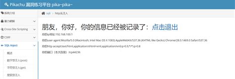 sql注入 pikachu靶场通关 sql注入靶场 csdn博客
