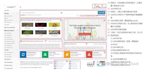 转录因子预测数据库jaspar使用教程 Public Library Of Bioinformatics